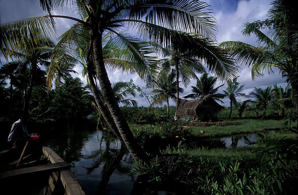 Kerala, el paradójico estado indio - El Orden Mundial - EOM