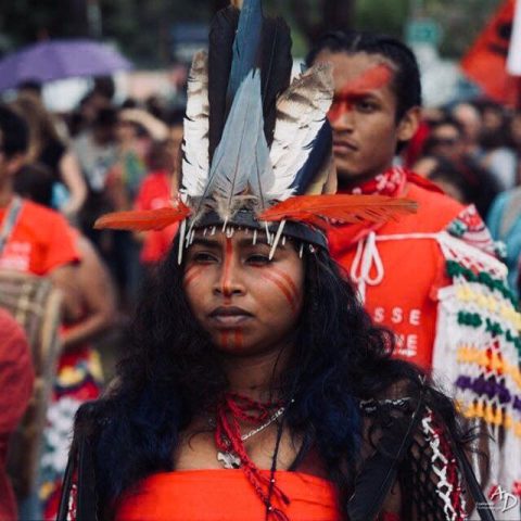 Las Guayanas, grandes desconocidas de Sudamérica - El Orden Mundial - EOM