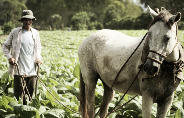 María Canora - El Orden Mundial