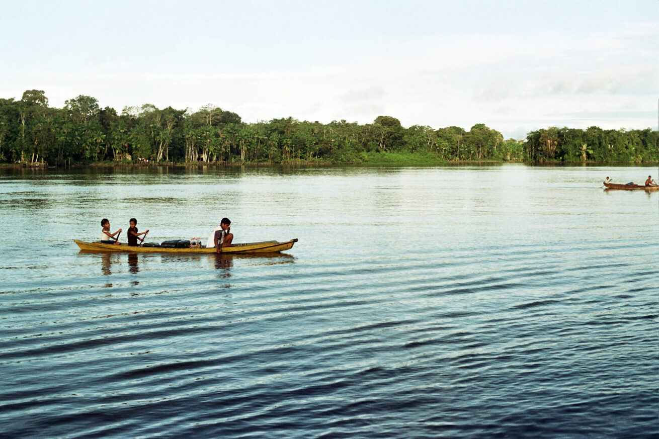 El Amazonas, un aliado para la expansión del coronavirus - El Orden ...
