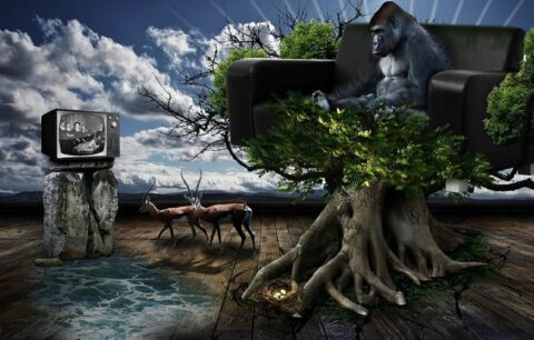 ¿Qué es la sociedad de consumo? - El Orden Mundial - EOM