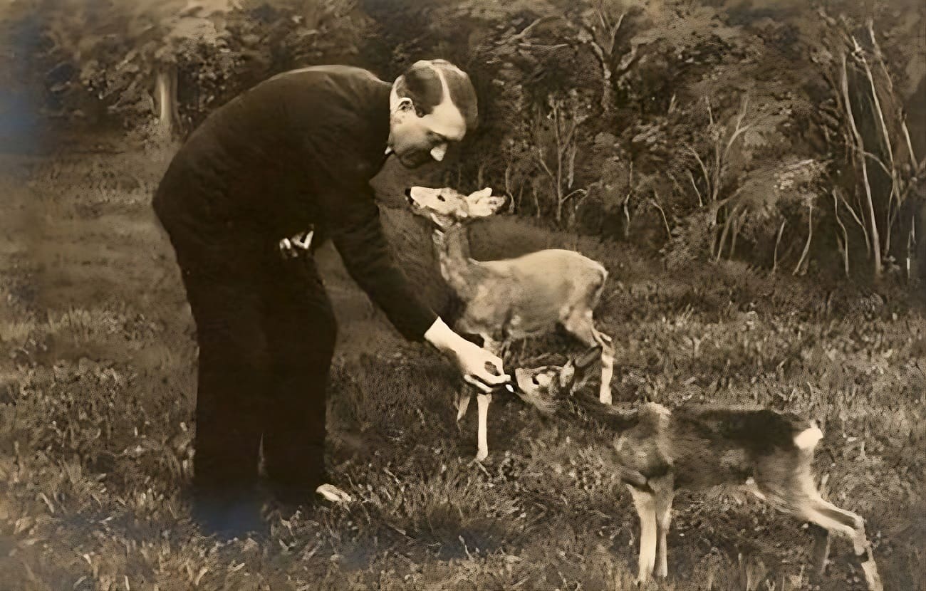 ¿Qué es el ecofascismo? - El Orden Mundial - EOM